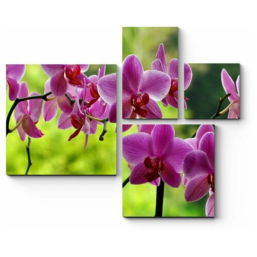 Модульная картина Неподражаемые орхидеи 172x143