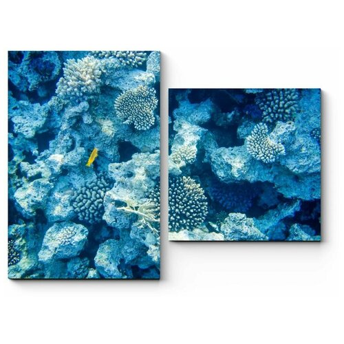 Модульная картина Коралловые рифы 150x113