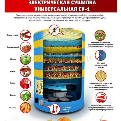 Сушилка овощей и фруктов СУ-1 Элвин (дегидратор)
