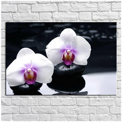 Картина на Холсте - "Белые орхидеи", размер 60х40 см