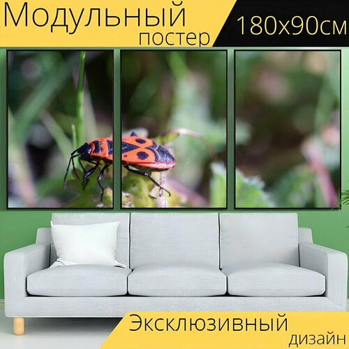 Модульный постер "Поджигатель, жук, насекомое" 180 x 90 см. для интерьера