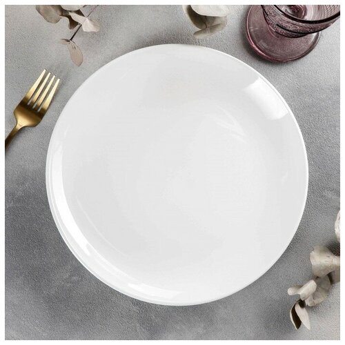 Wilmax England Тарелка фарфоровая обеденная с утолщённым краем Wilmax Olivia Pro, d=25,5 см, цвет белый
