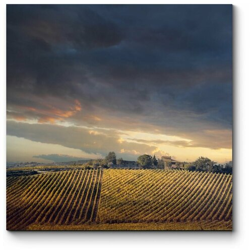 Модульная картина Виноградники на закате 140x140