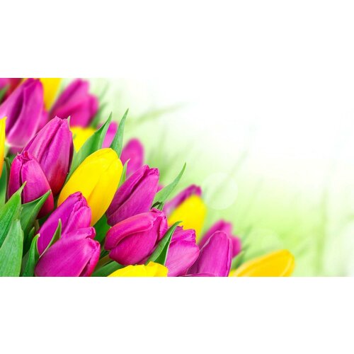 Картина на холсте 60x110 LinxOne "Тюльпаны розовые 8 марта" интерьерная для дома / на стену / на кухню / с подрамником