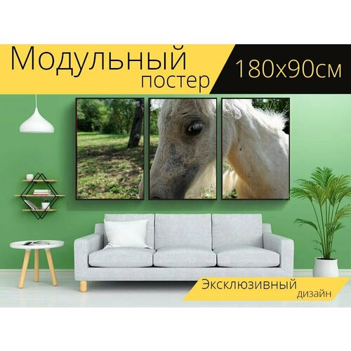 Модульный постер "Пони, лошадь, белый" 180 x 90 см. для интерьера