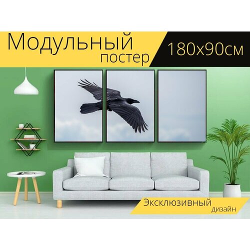 Модульный постер "Птица, ворона, полет" 180 x 90 см. для интерьера