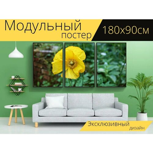 Модульный постер "Мак, папаша, цветок" 180 x 90 см. для интерьера