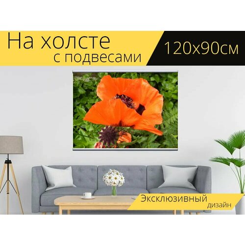 Картина на холсте "Мака, цветы, деревенский" с подвесами 120х90 см. для интерьера