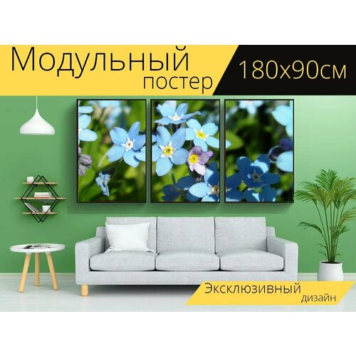 Модульный постер "Незабудка, цветок, синий" 180 x 90 см. для интерьера