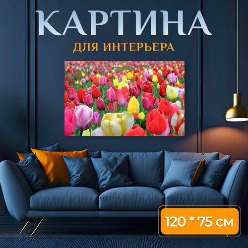 Картина на холсте "Тюльпаны, цветы, поле тюльпанов" на подрамнике 120х75 см. для интерьера