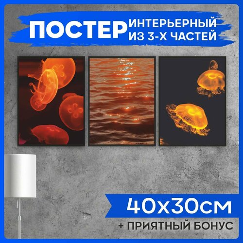 Постеры на стену интерьерный набор Медузы Эстетика Моря 40х30см 3шт v6