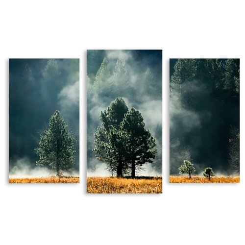 Модульная картина на холсте "Деревья в тумане" 90x60 см