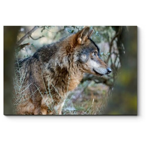 Модульная картина Волк спрятался между деревьями 30x20