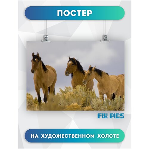 Постер на холсте Лошадь, дикие мустанги, 3 коня 40х60 см