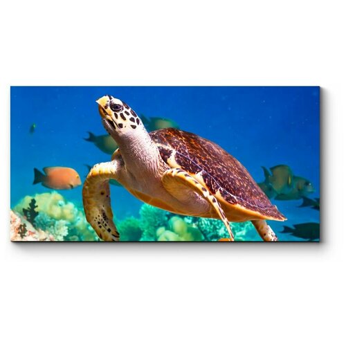Модульная картина Черепаха в коралловом рифе120x60