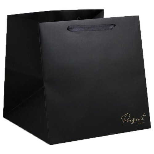 Пакет подарочный Дарите счастье Present, 30x30x30 см, черный
