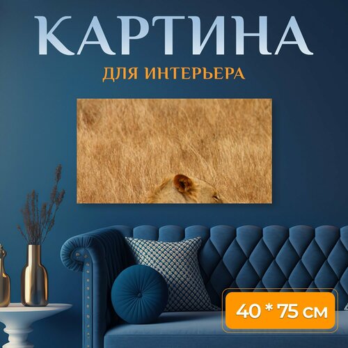Картина на холсте "Лев, животное, семья" на подрамнике 75х40 см. для интерьера