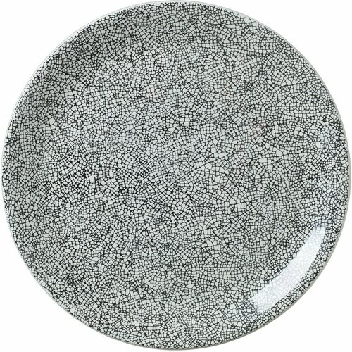 Тарелка мелкая «Инк Блэк», 30 см, черный, фарфор, 17600565, Steelite