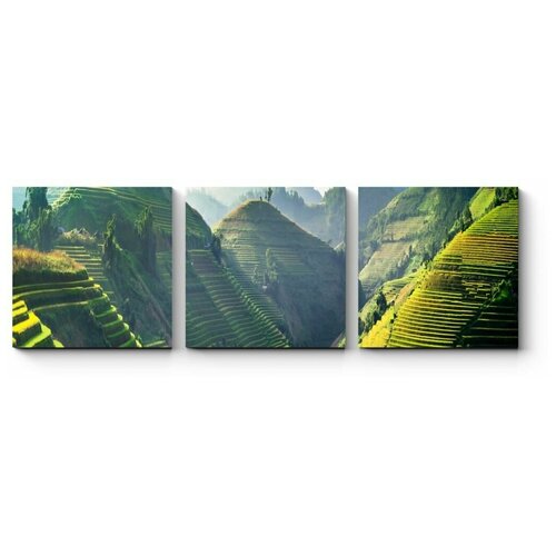 Модульная картина Вьетнамские рисовые поля в горах 140x47