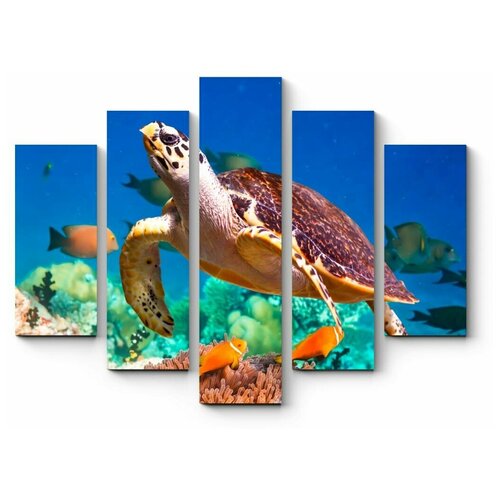 Модульная картина Черепаха в коралловом рифе85x68