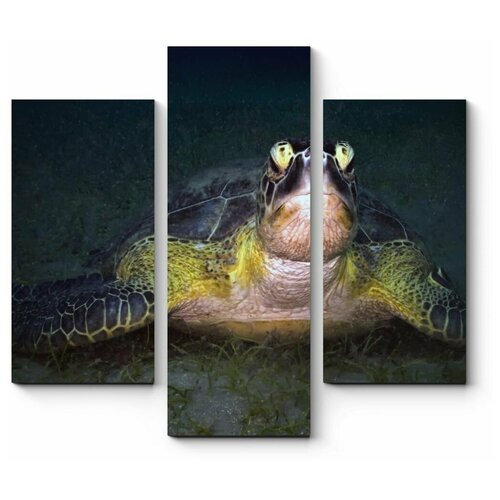 Модульная картина Зеленая черепаха ночью 80x72