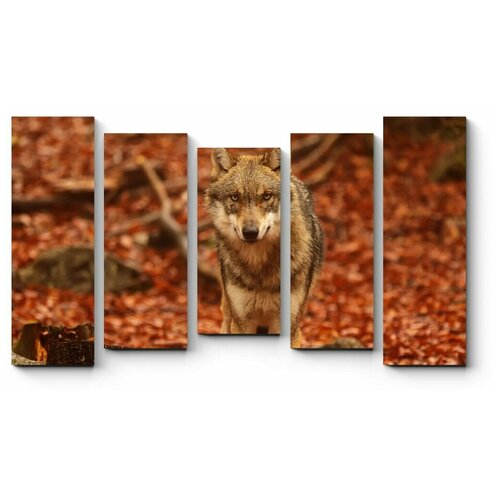 Модульная картина Волк в осеннем лесу 110x66