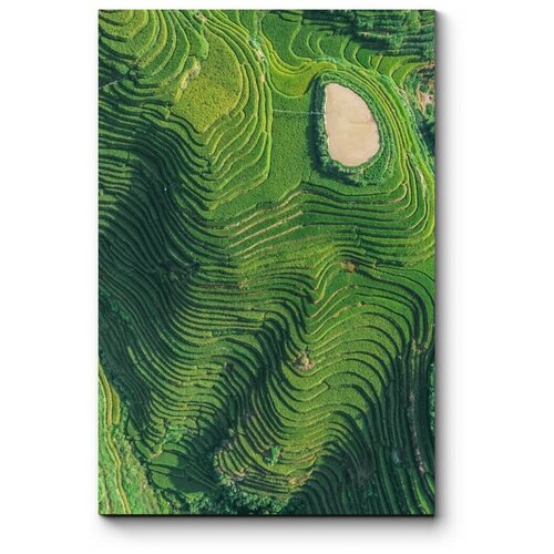 Модульная картина Линии рисовых полей 40x60