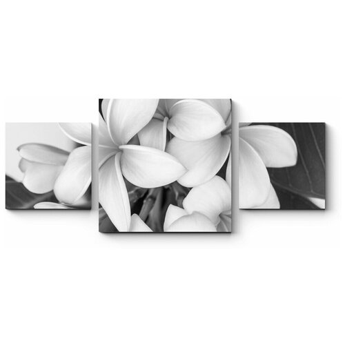 Модульная картина Аромат белых цветов 70x30