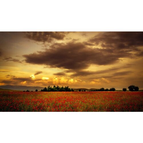 Картина на холсте 60x110 LinxOne "Небо цветы облака поле" интерьерная для дома / на стену / на кухню / с подрамником