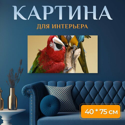 Картина на холсте "Попугай, эра, птица" на подрамнике 75х40 см. для интерьера