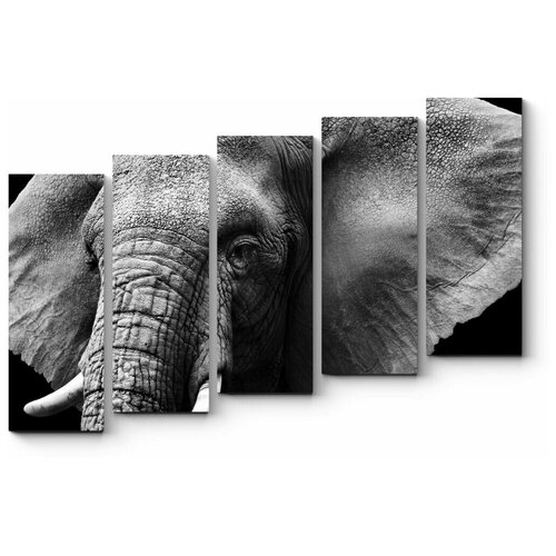 Модульная картина Портрет слона 100x70