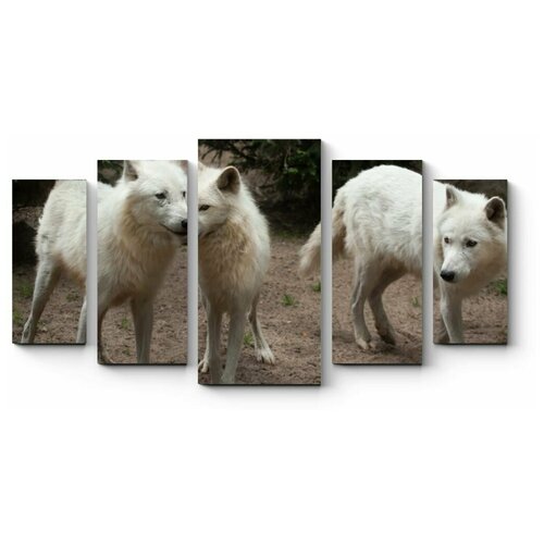 Модульная картина Величественные волки 110x61