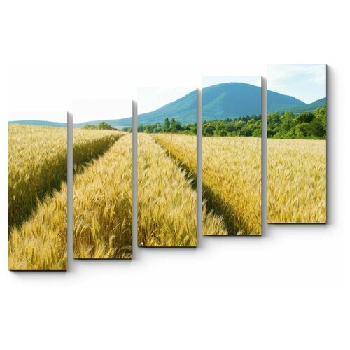 Модульная картина Пшеничное поле в лучах солнца 100x70
