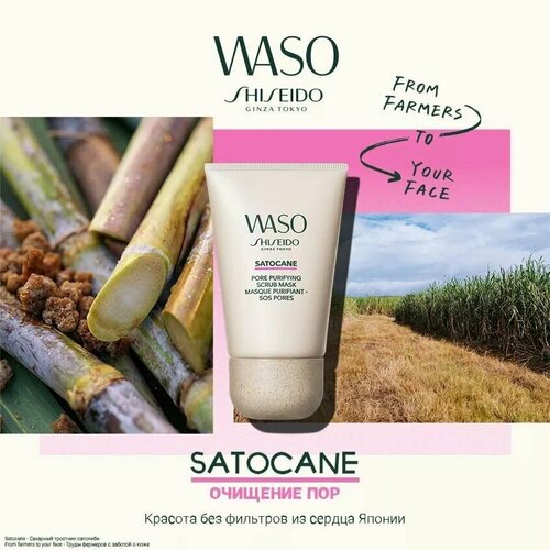 SHISEIDO Маска-скраб для глубокого очищения пор WASO SATOCANE