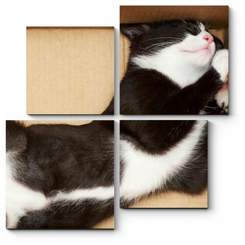 Модульная картина Кот в картонном домике 70x70