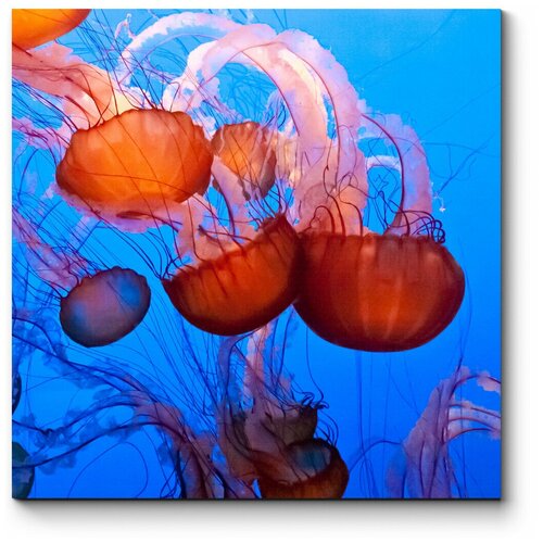 Модульная картина Чарующие океанские медузы 90x90