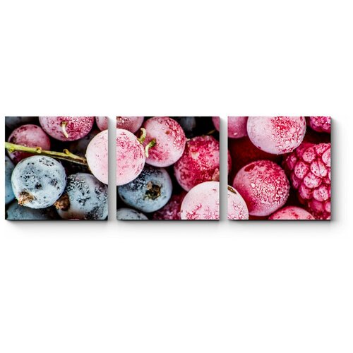 Модульная картина Ледяные ягоды 130x43