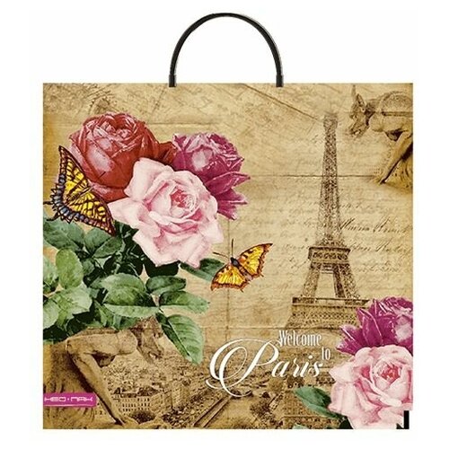 Пакет "Париж с розами", полиэтиленовый с пластиковой ручкой, 37х35 см, 90 мкм