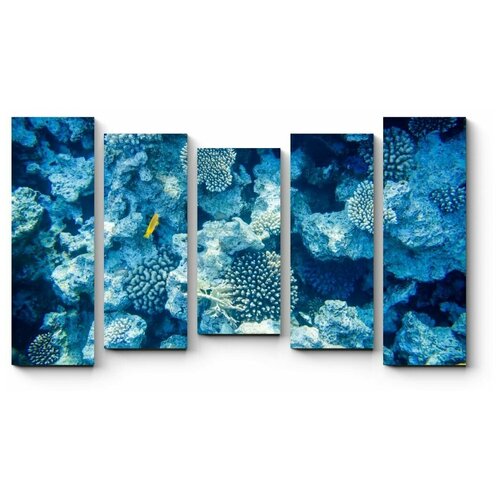 Модульная картина Коралловые рифы 120x72