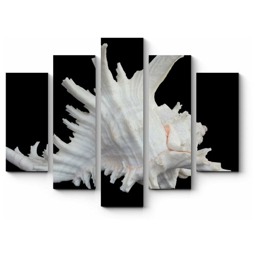Модульная картина Морская раковина95x76