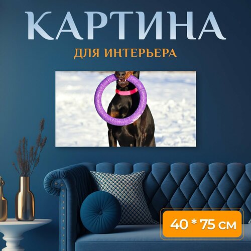 Картина на холсте "Доберман, собака, обруч" на подрамнике 75х40 см. для интерьера
