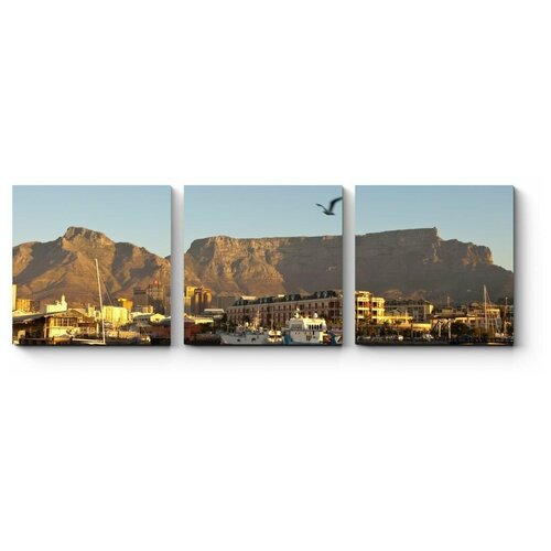 Модульная картина Солнечный день в Кейптауне100x33