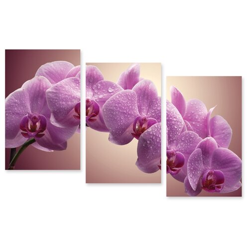 Модульная картина на холсте "Розовые орхидеи" 120x78 см