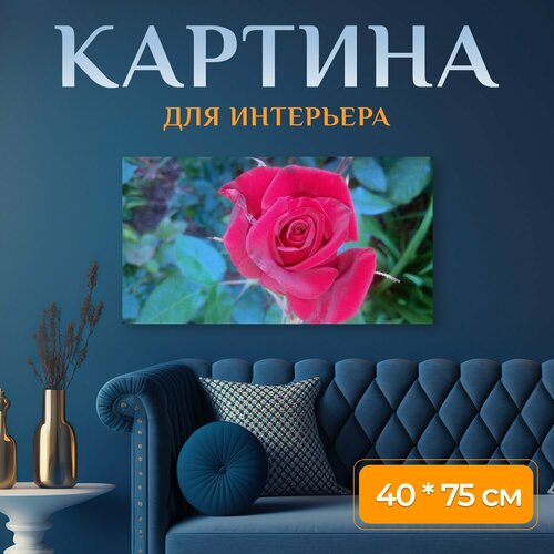 Картина на холсте "Сад, куст, роза" на подрамнике 75х40 см. для интерьера