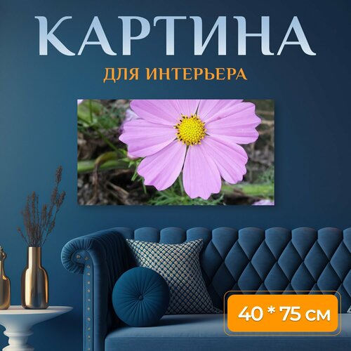 Картина на холсте "Цветок, цвести, завод" на подрамнике 75х40 см. для интерьера