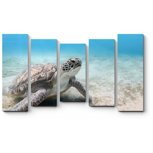 Модульная картина Чарующая подводная черепаха 90x54
