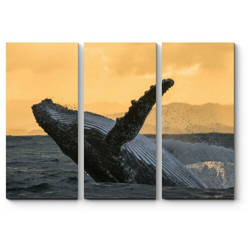 Модульная картина Величественный кит 110x79