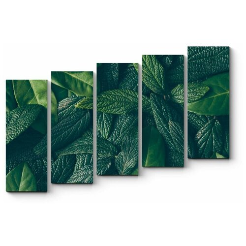 Модульная картина Зеленые сочные листья170x119