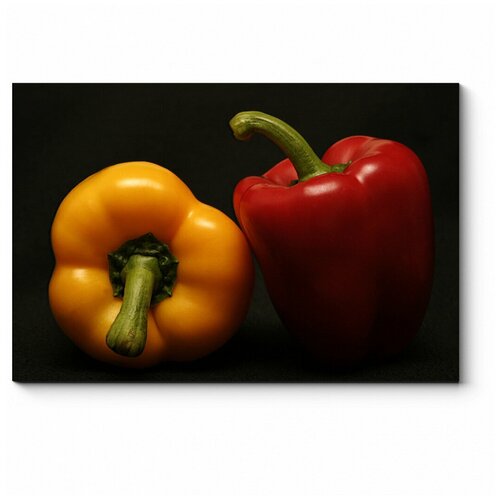 Модульная картина Овощная гармония 50x33