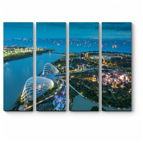 Модульная картина Пролетая над ночным Сингапуром 130x98